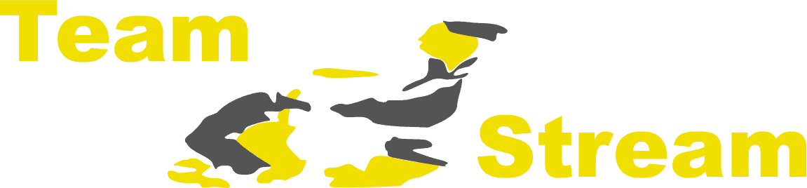 Daytona 24h Team Stream - WS Racing eSports e.V.